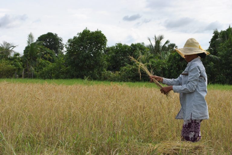 Covid-19 : les équipes et partenaires d'Eclosio adaptent leurs actions | Eclosio