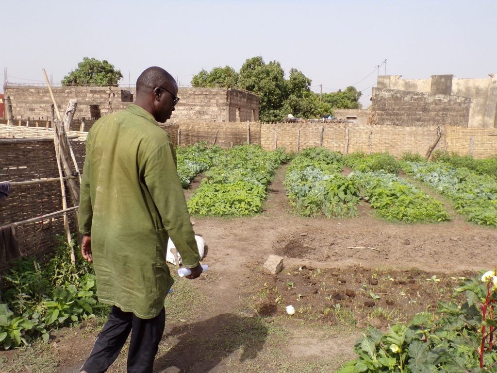 ECLOSIO-photo Yessal-3 | Eclosio