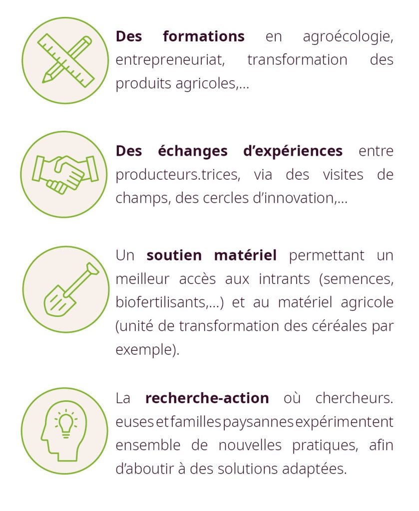 Eclosio_actions agroécologie Sénégal | Eclosio